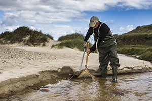 Hvordan bevarer vi ålen? – Den fantastiske ål